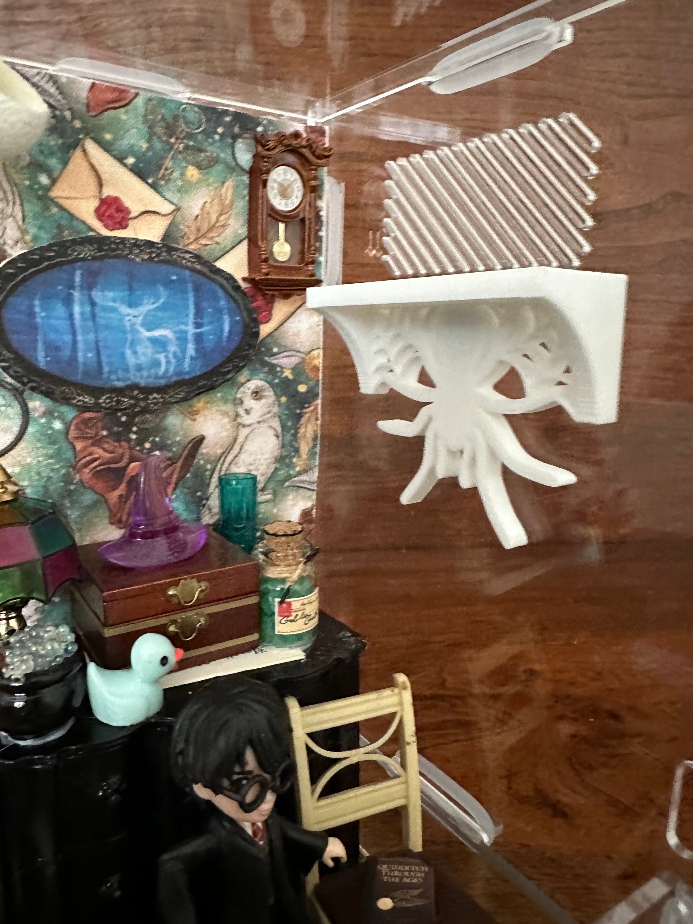 Harry Potter Jumping Spider Enclosure Habitat,4x4x8, Jumping Spider ...