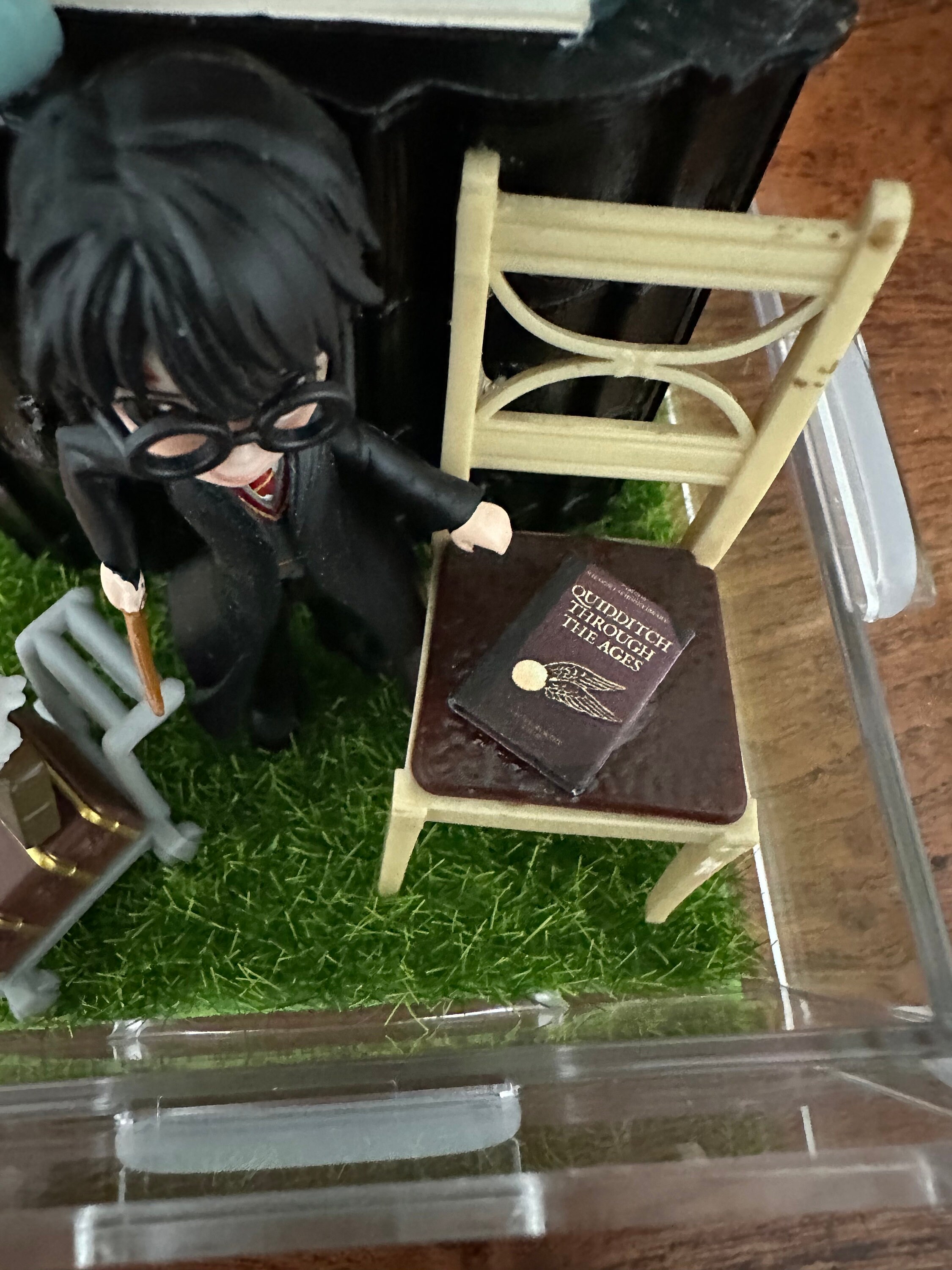 Harry Potter Jumping Spider Enclosure Habitat,4x4x8, Jumping Spider ...