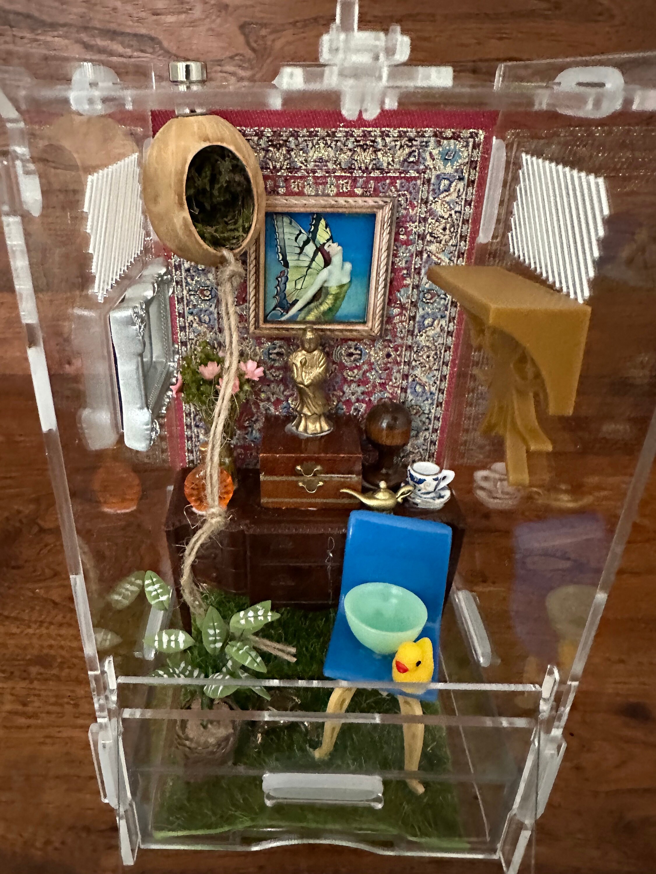 Spooder Study Jumping Spider Enclosure Habitat,4x4x8, Jumping Spider ...