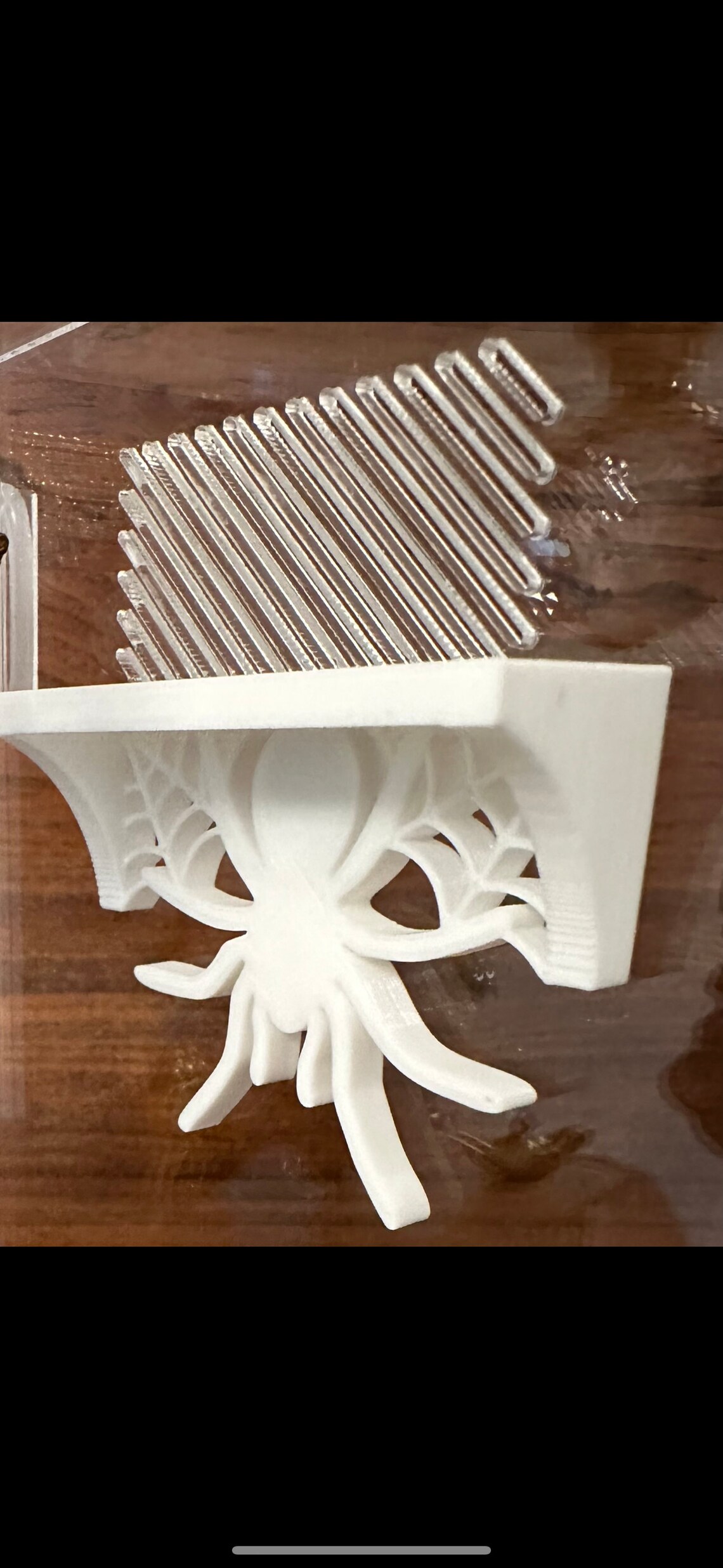 Spooder Study Jumping Spider Enclosure Habitat,4x4x8, Jumping Spider ...