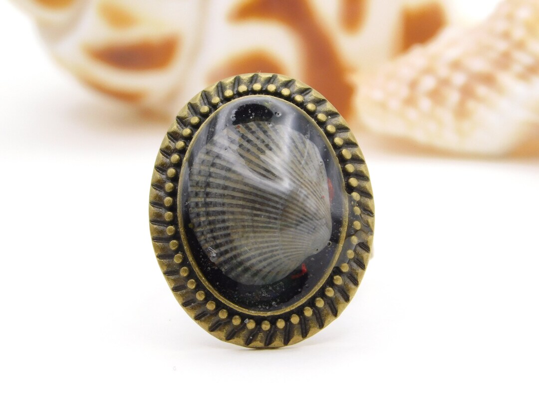 Gray Seashell Antique Bronze Tone Ring OBX Shell Sealed in Resin Ring ...