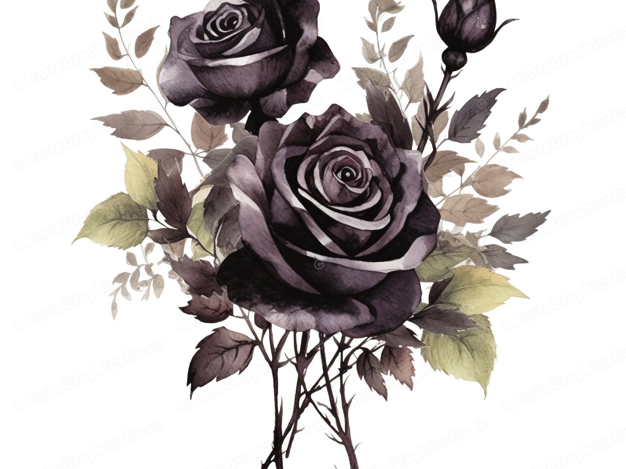 Watercolor Black Rose Clipart, Gothic Roses Clipart, Floral Clipart ...