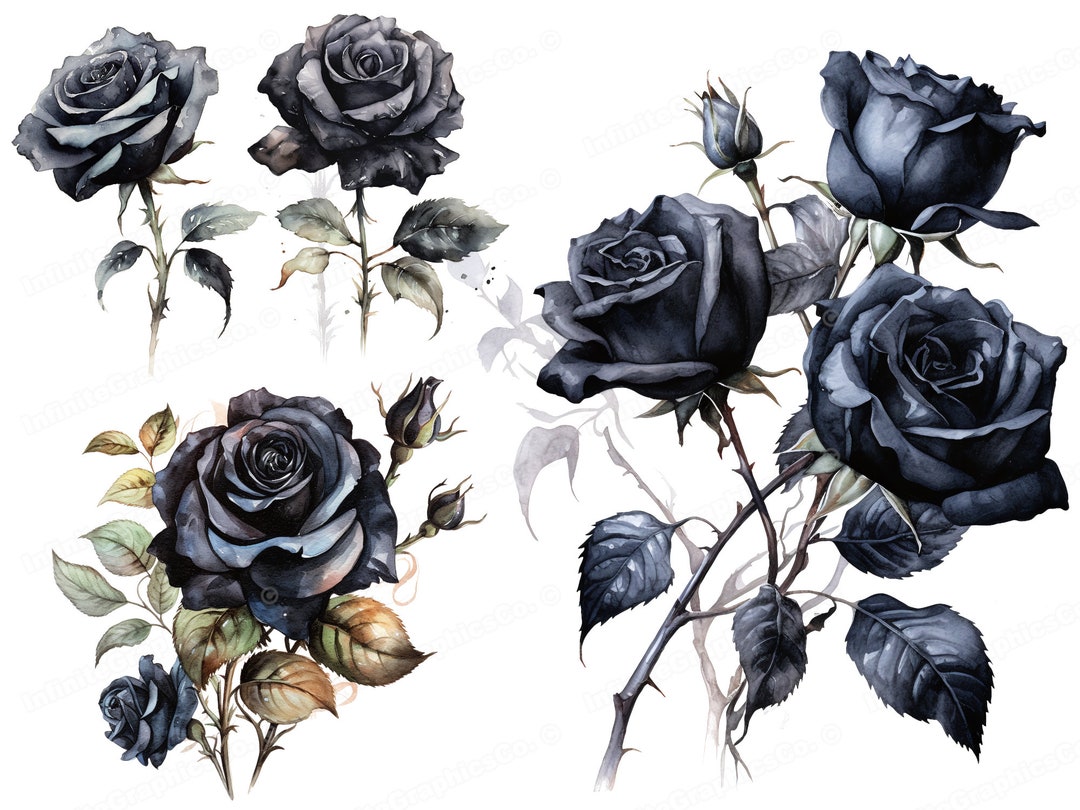 Watercolor Black Rose Clipart, Gothic Roses Clipart, Floral Clipart ...