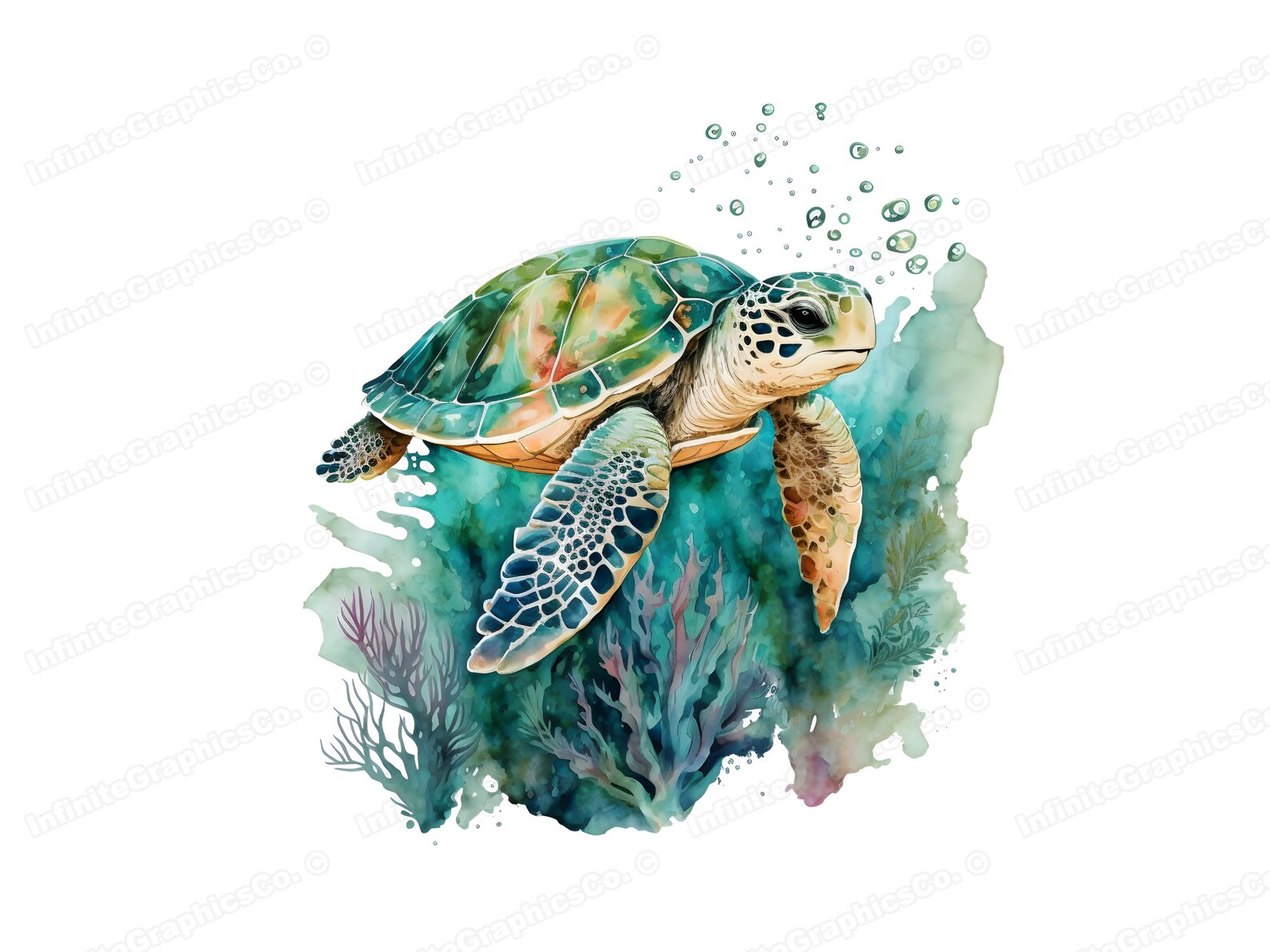 10 Sea Turtle Clipart Pngs, Ocean Clipart, Sea Animal Pngs, Cute Ocean ...