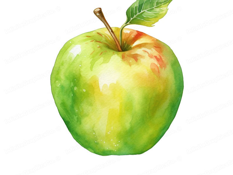 Watercolor Apples Clipart, Apple Illustrations, 10 High-quality Pngs ...