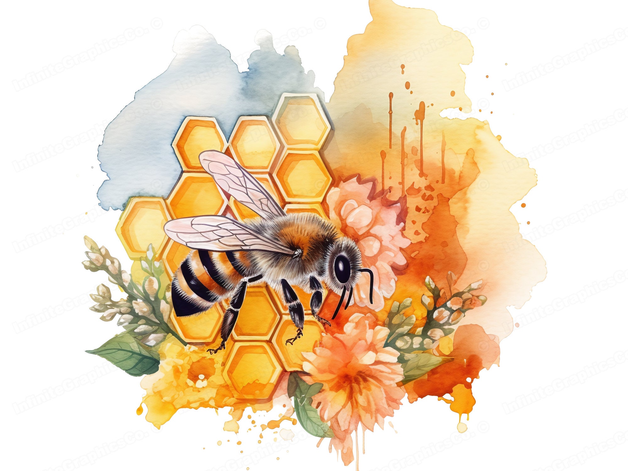 Watercolor Honey Bee Clipart, Spring Bee Illustrations, PNG Graphics ...
