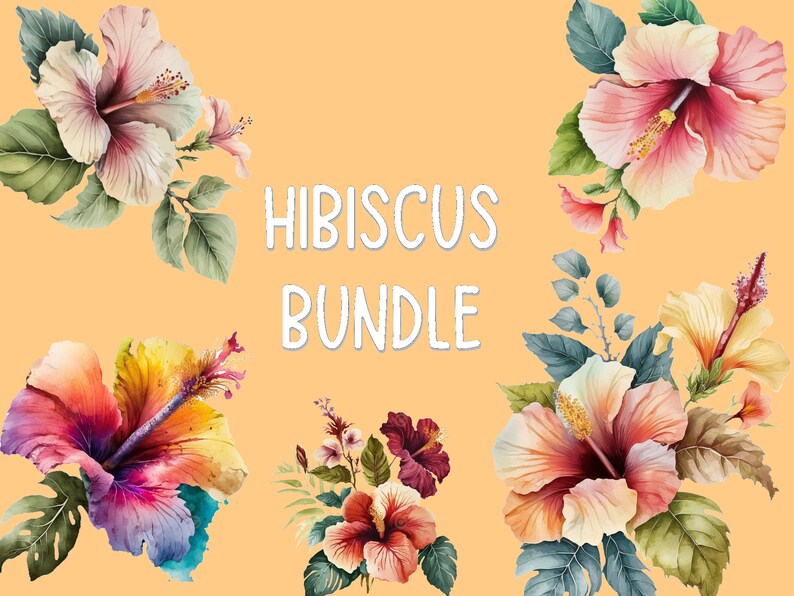 Hibiscus Watercolor Clip Art BUNDLE, Tropical Floral Clipart, Tropical ...