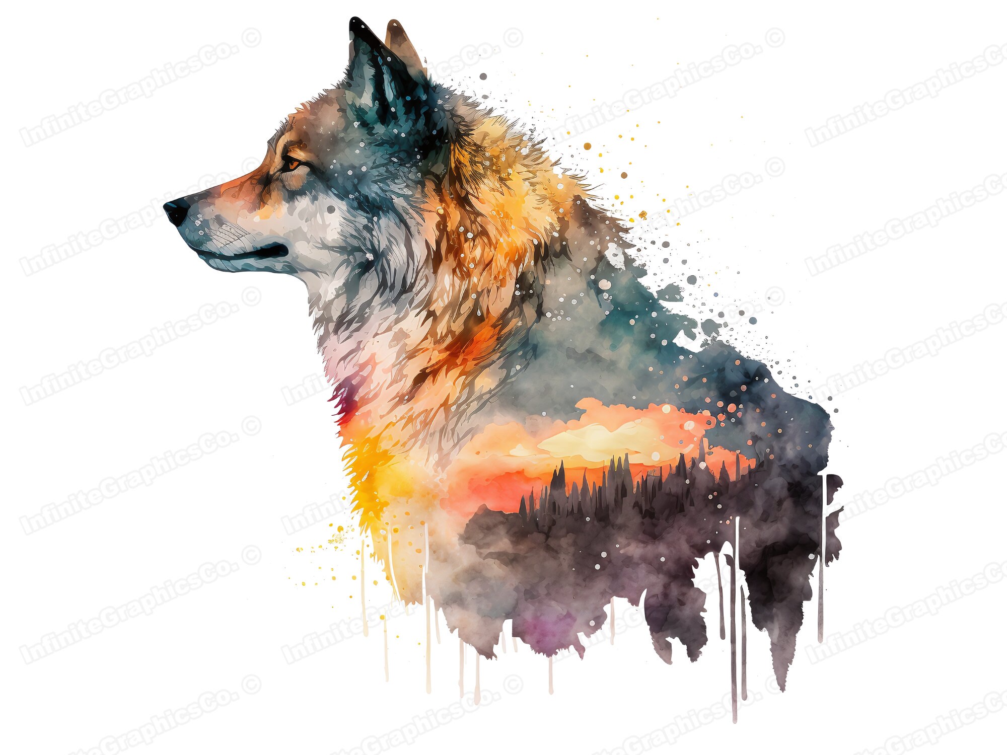 12 Watercolor Wolf Clipart Pngs, Majestic Wolves PNG, Wolf Sublimation ...