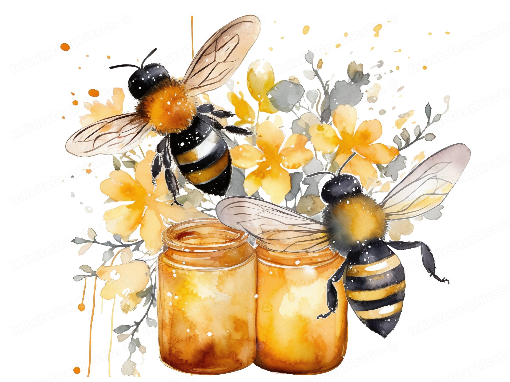Watercolor Honey Bee Clipart, Spring Bee Illustrations, PNG Graphics ...