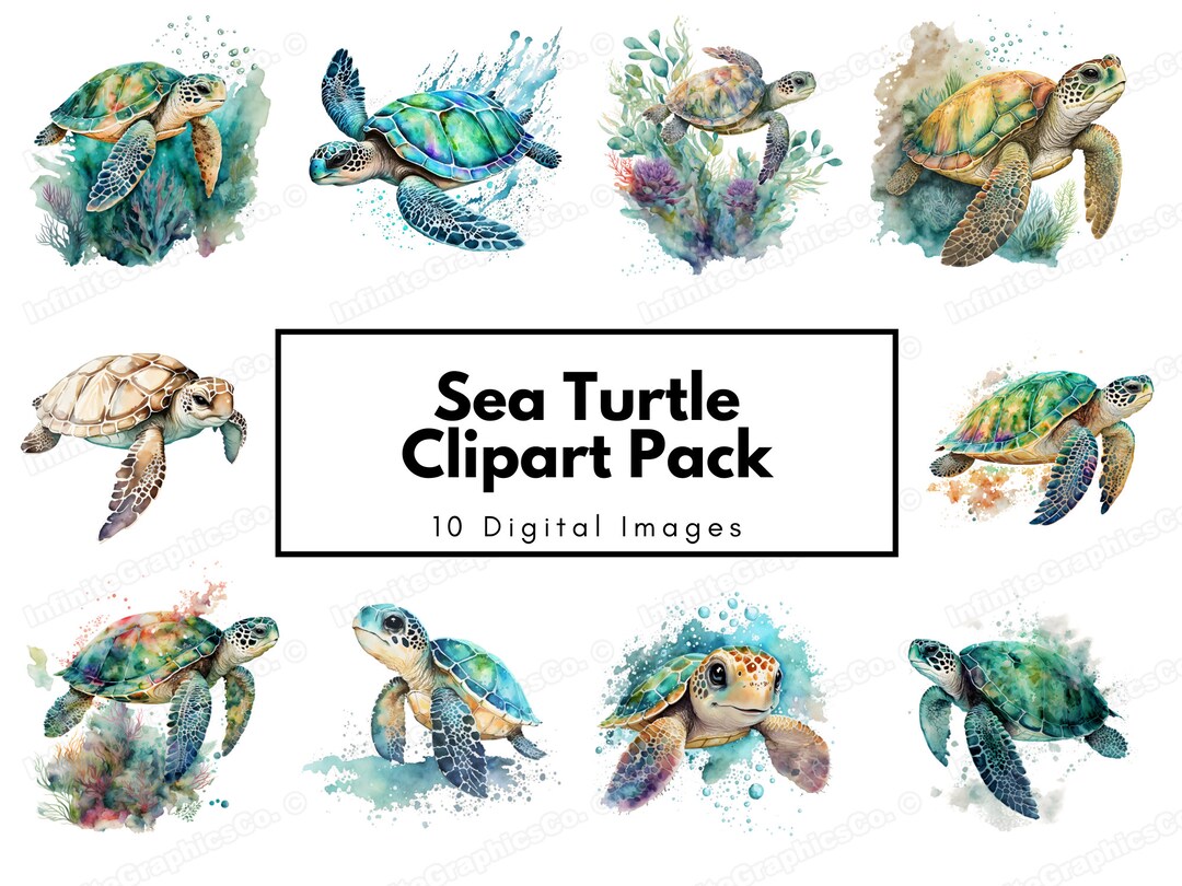 10 Sea Turtle Clipart Pngs, Ocean Clipart, Sea Animal Pngs, Cute Ocean ...