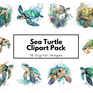 10 Sea Turtle Clipart Pngs, Ocean Clipart, Sea Animal Pngs, Cute Ocean ...