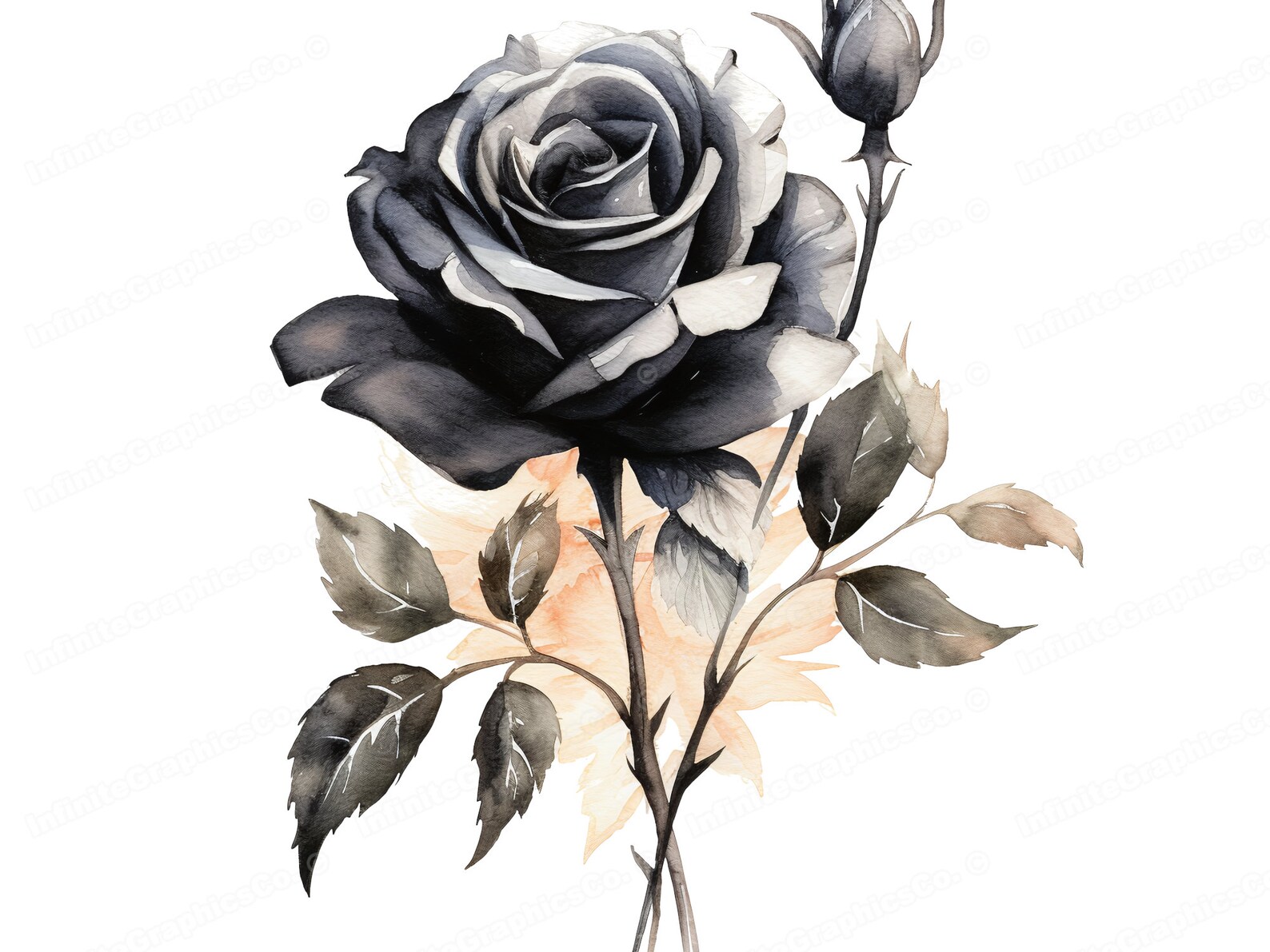 Watercolor Black Rose Clipart, Gothic Roses Clipart, Floral Clipart ...