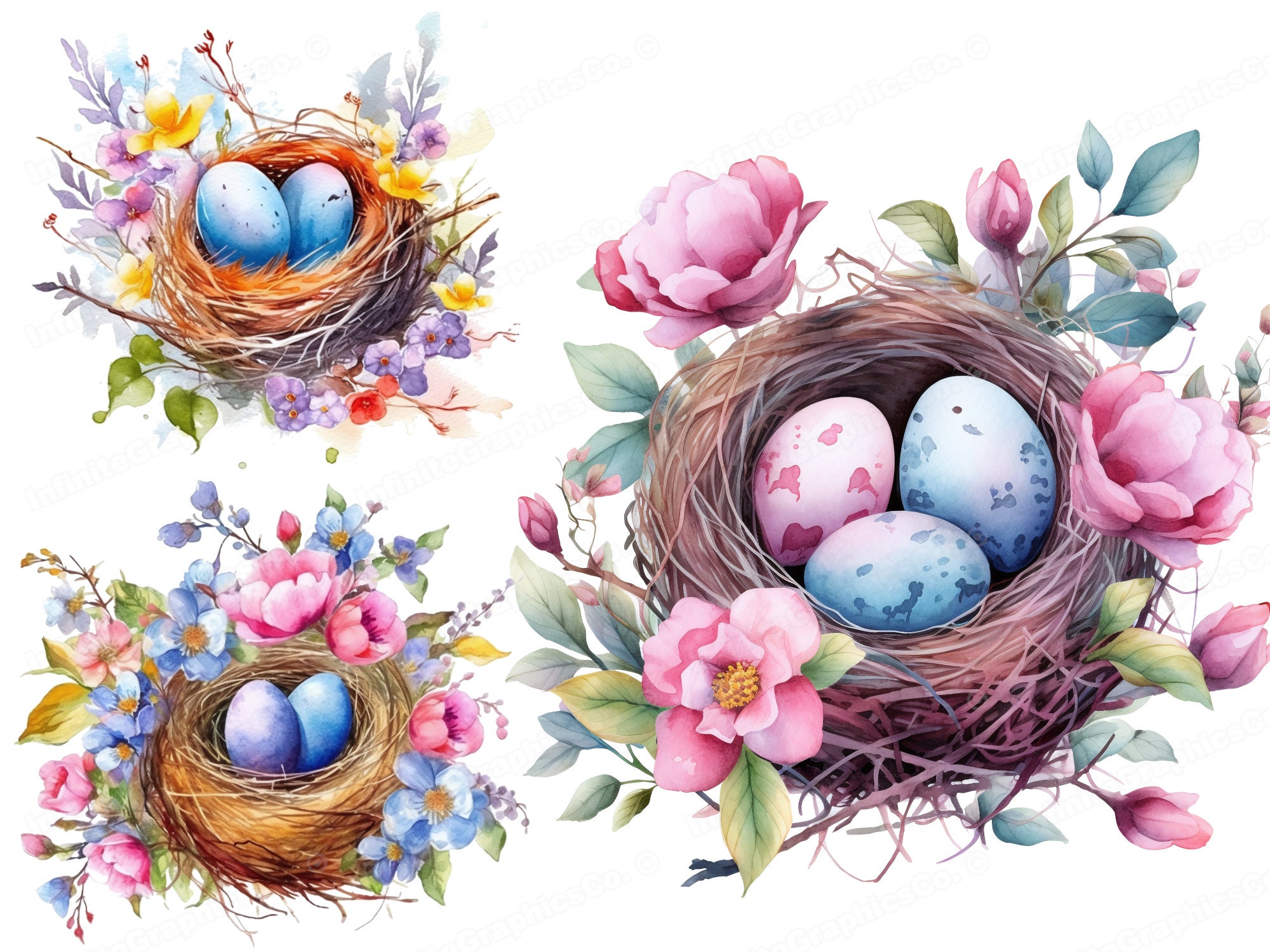 Egg In A Nest Clipart