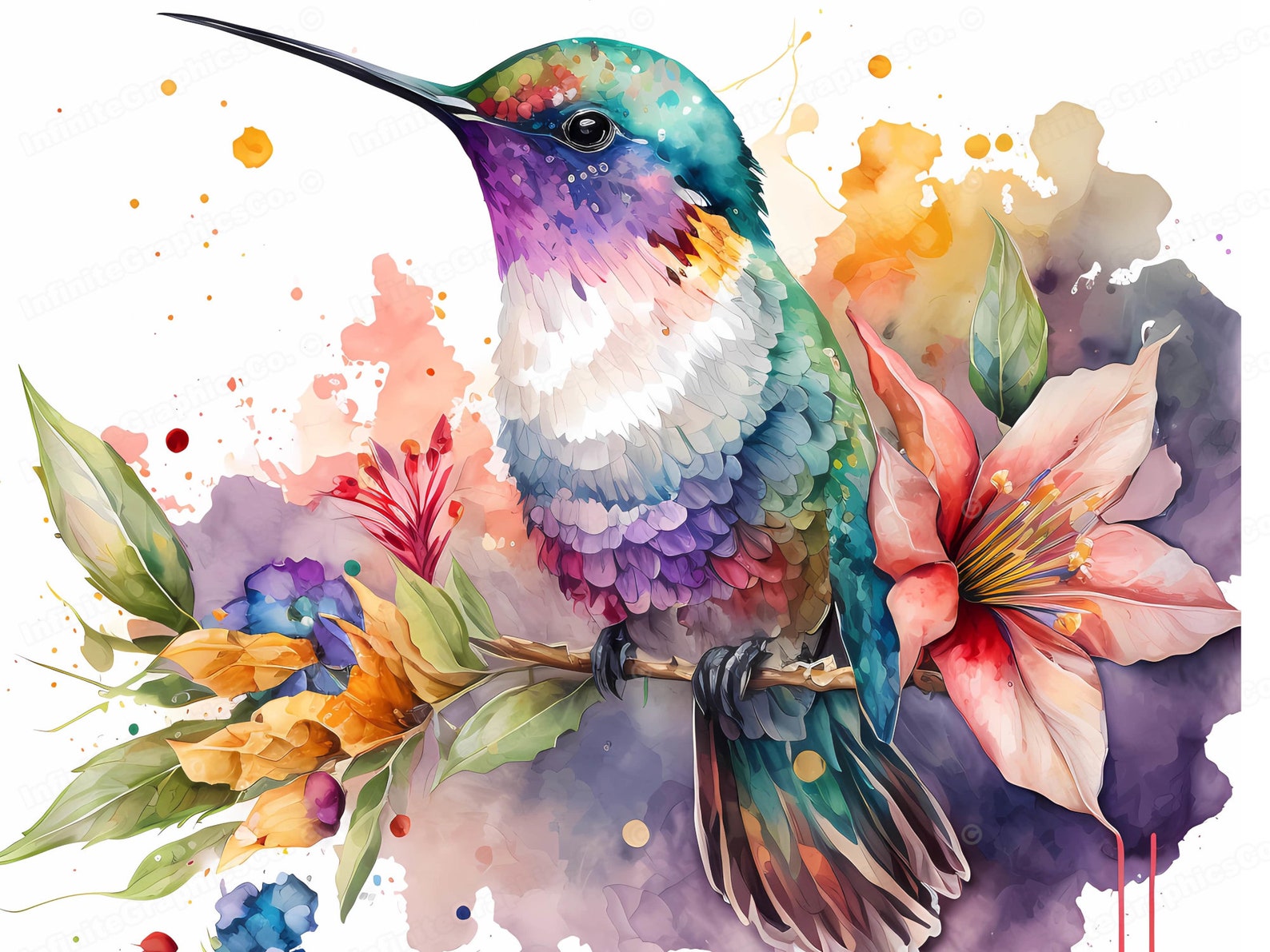 11 Hummingbird Art Bundle for Paper Crafting and Digital Crafting ...