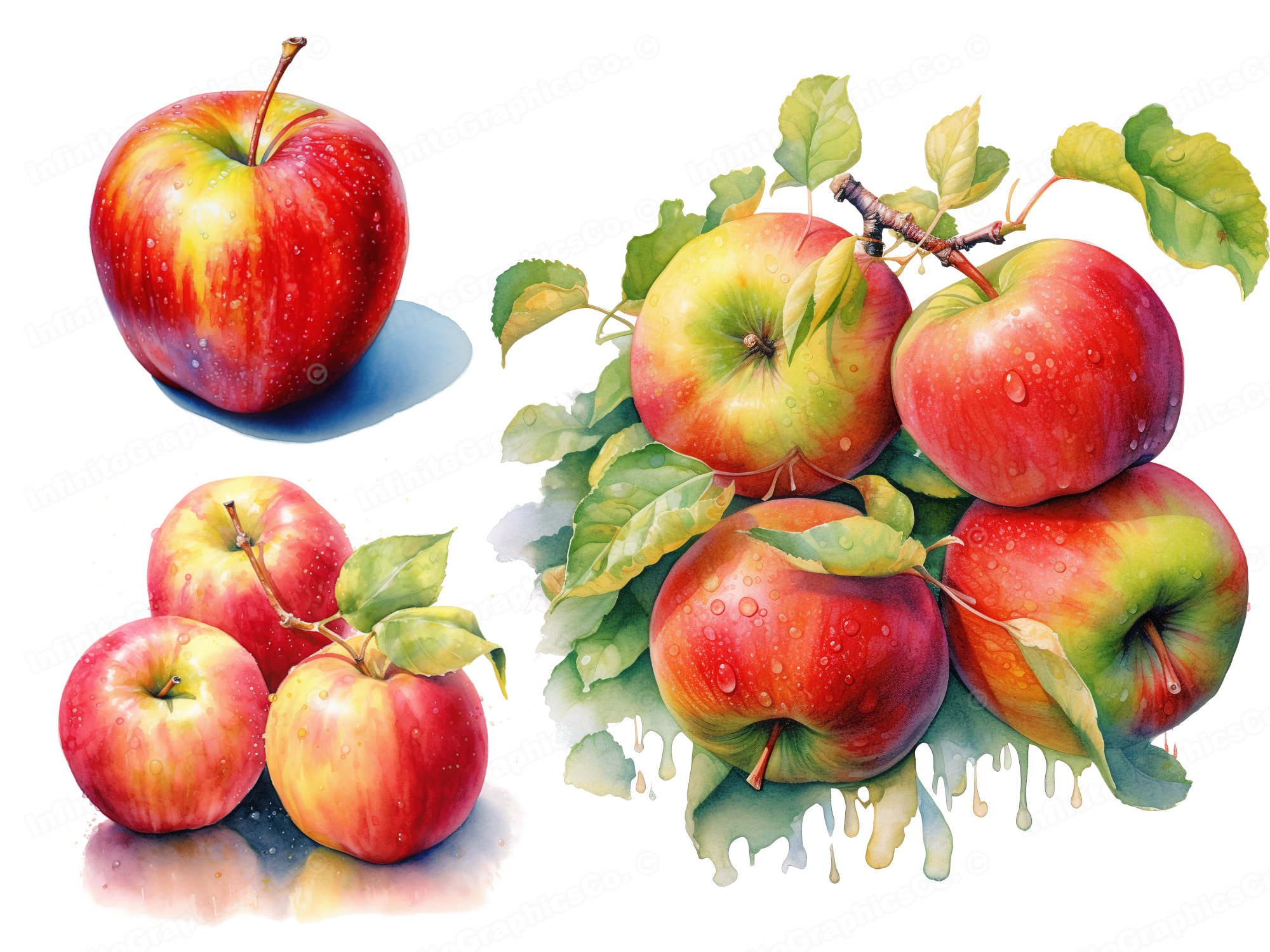 Watercolor Apples Clipart, Apple Illustrations, 10 High-quality Pngs ...