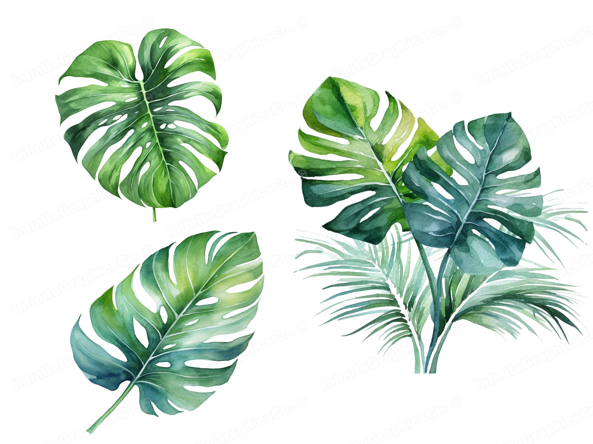 Watercolor Tropical Leaf Clipart, 10 High-quality Pngs, Tropic Clipart ...