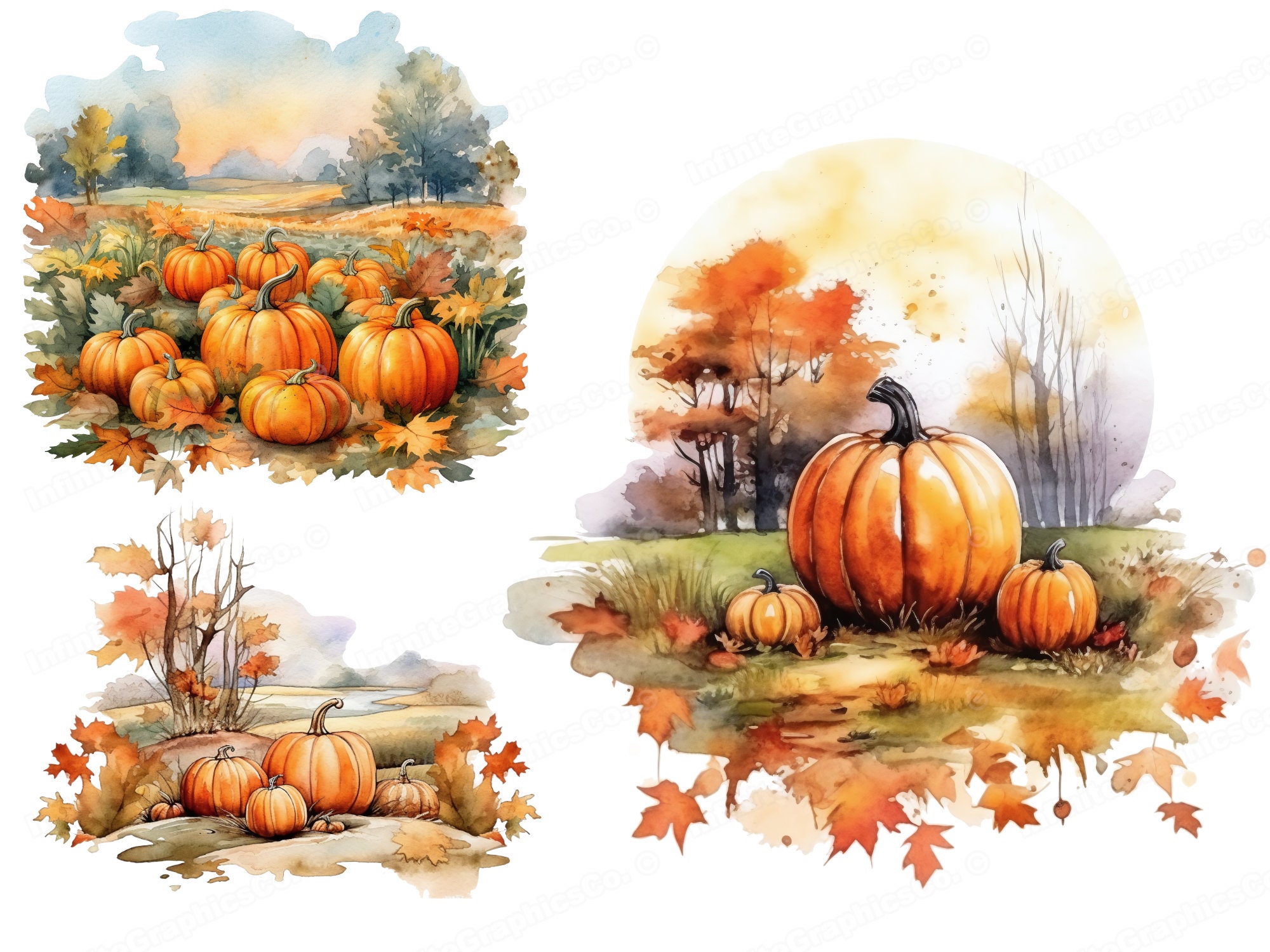 Watercolor Pumpkin Patch Clipart, Watercolor Clipart, Pumpkins, Fall ...