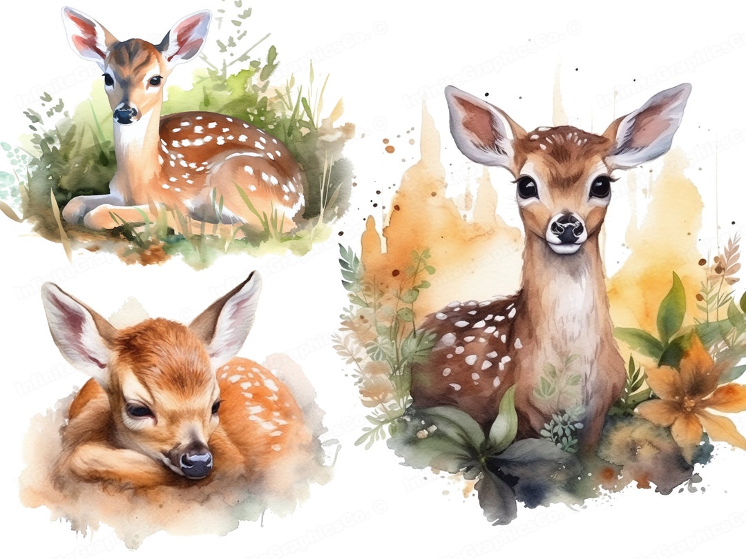 Watercolor Baby Deer Clipart, Nature Clipart, Cute Clipart, Deer ...