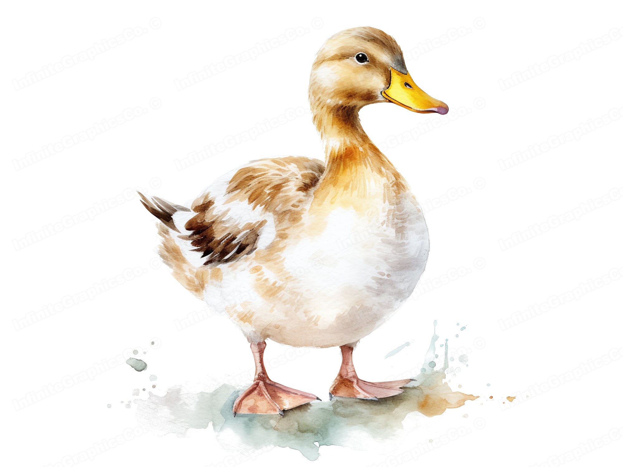 Watercolor Ducks Clipart, High Quality Pngs, Duck Illustrations for ...