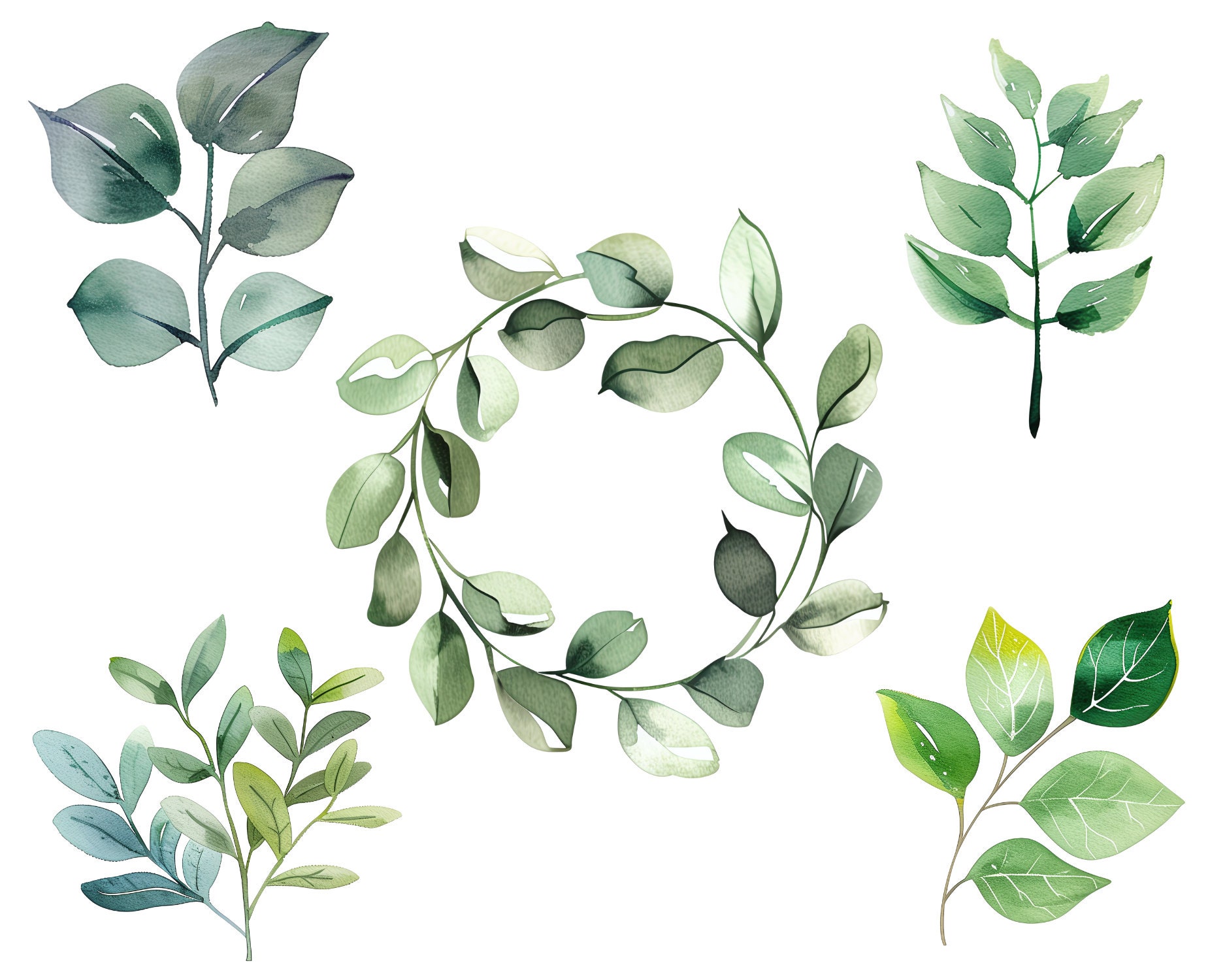 Greenery Watercolor Clipart, Plant Clipart, Botanical Clipart ...