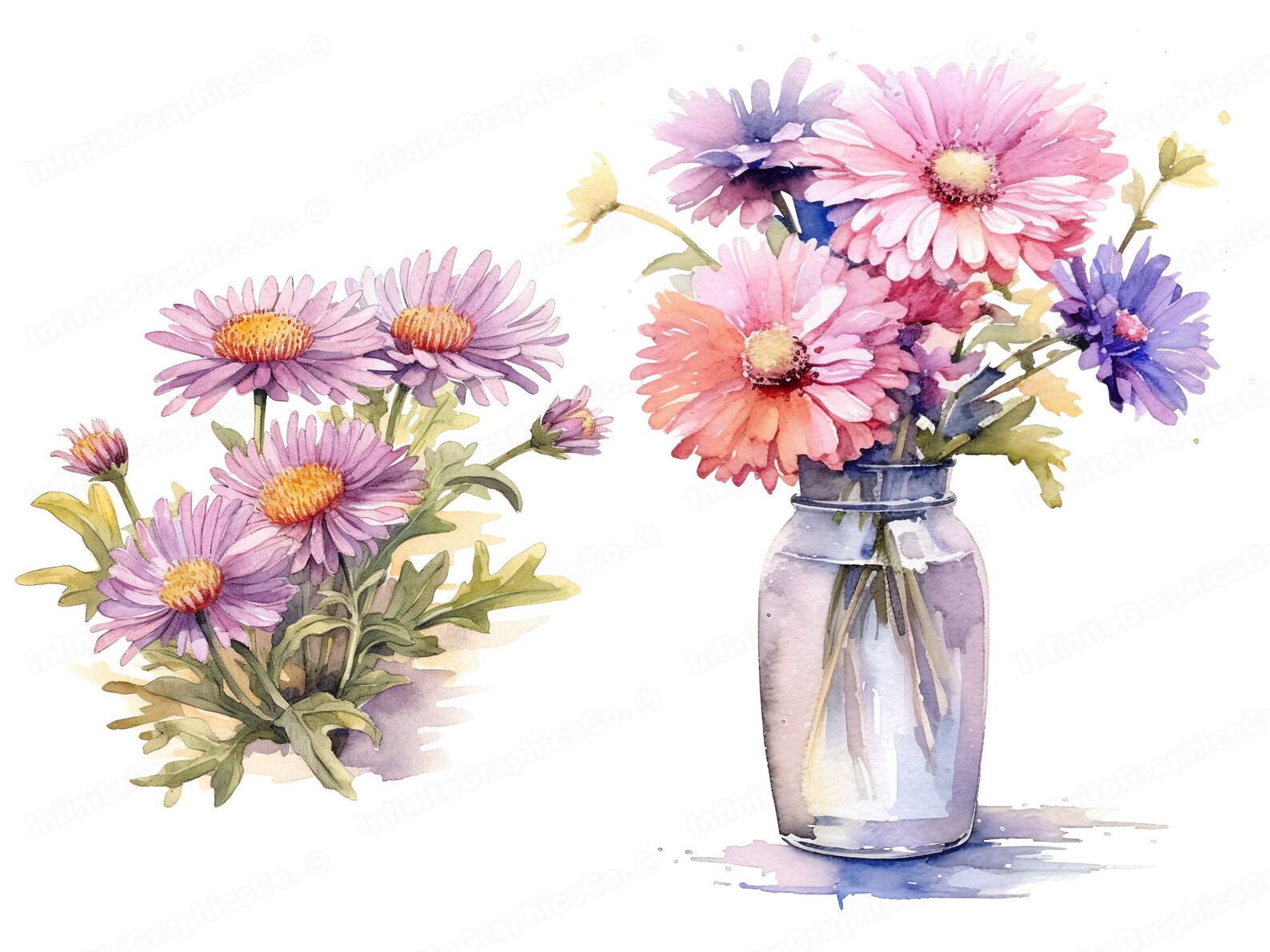 Watercolor Aster Clipart, Aster Flower Clipart, Birthmonth Flower, High ...