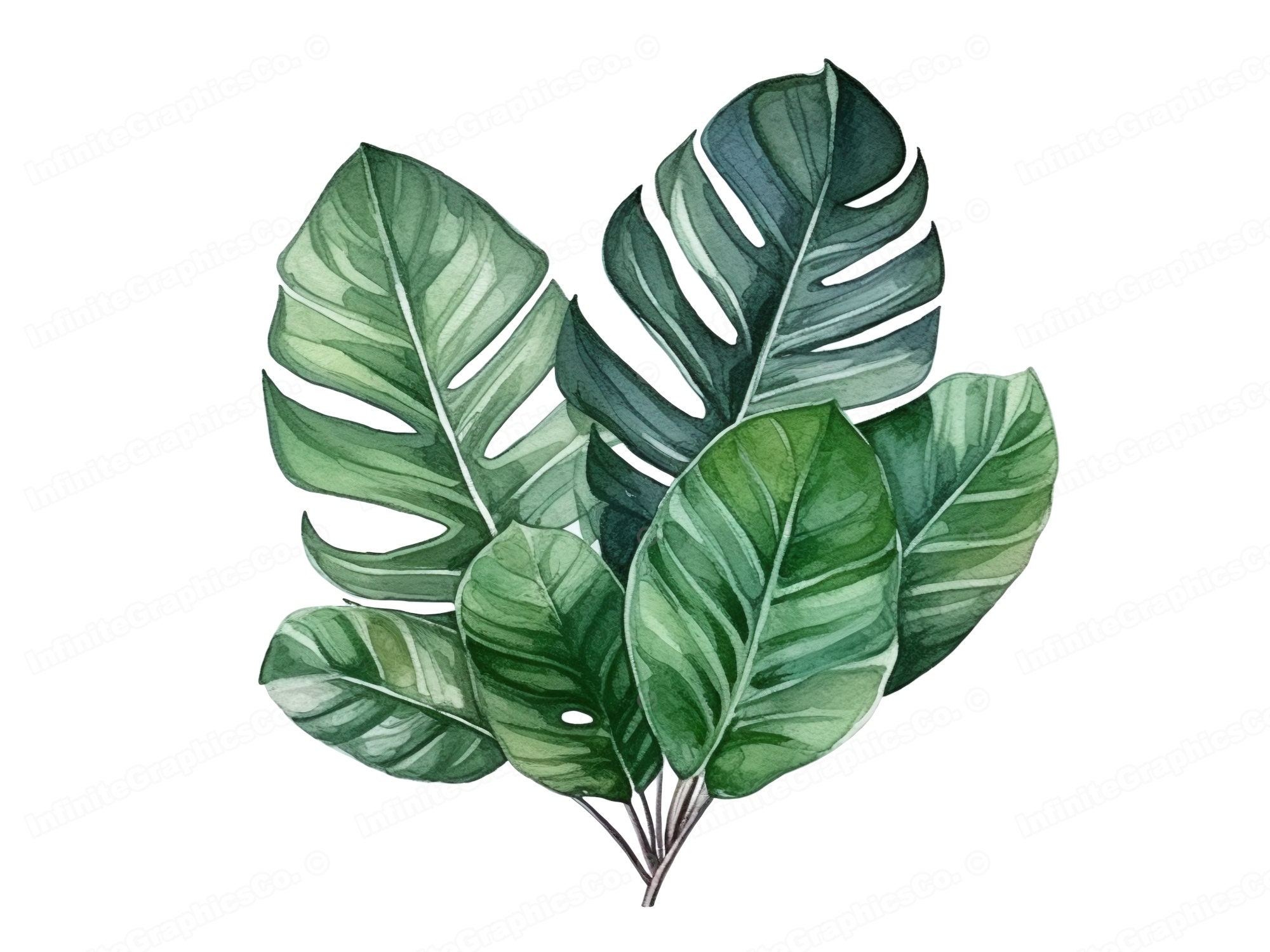 Watercolor Tropical Leaf Clipart, 10 High-quality Pngs, Tropic Clipart ...