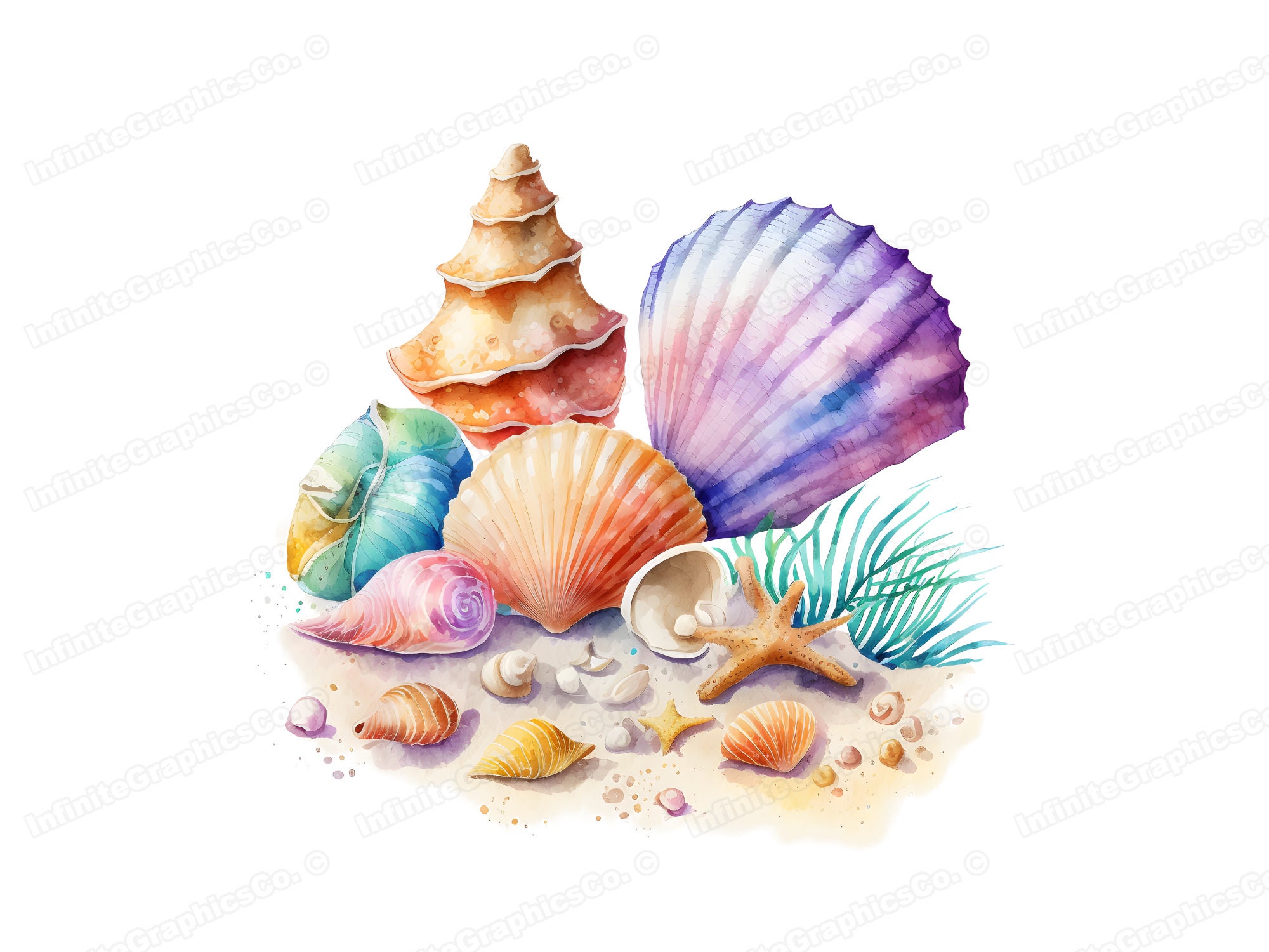 Watercolor Seashell Clipart, Beach Clipart, Nautical Clipart, Seashell ...