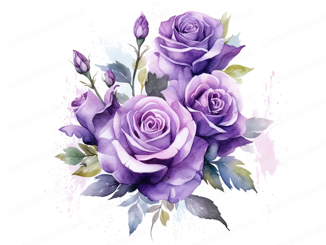 Watercolor Purple Rose Clipart, Purple Rose PNG, Watercolor Floral ...