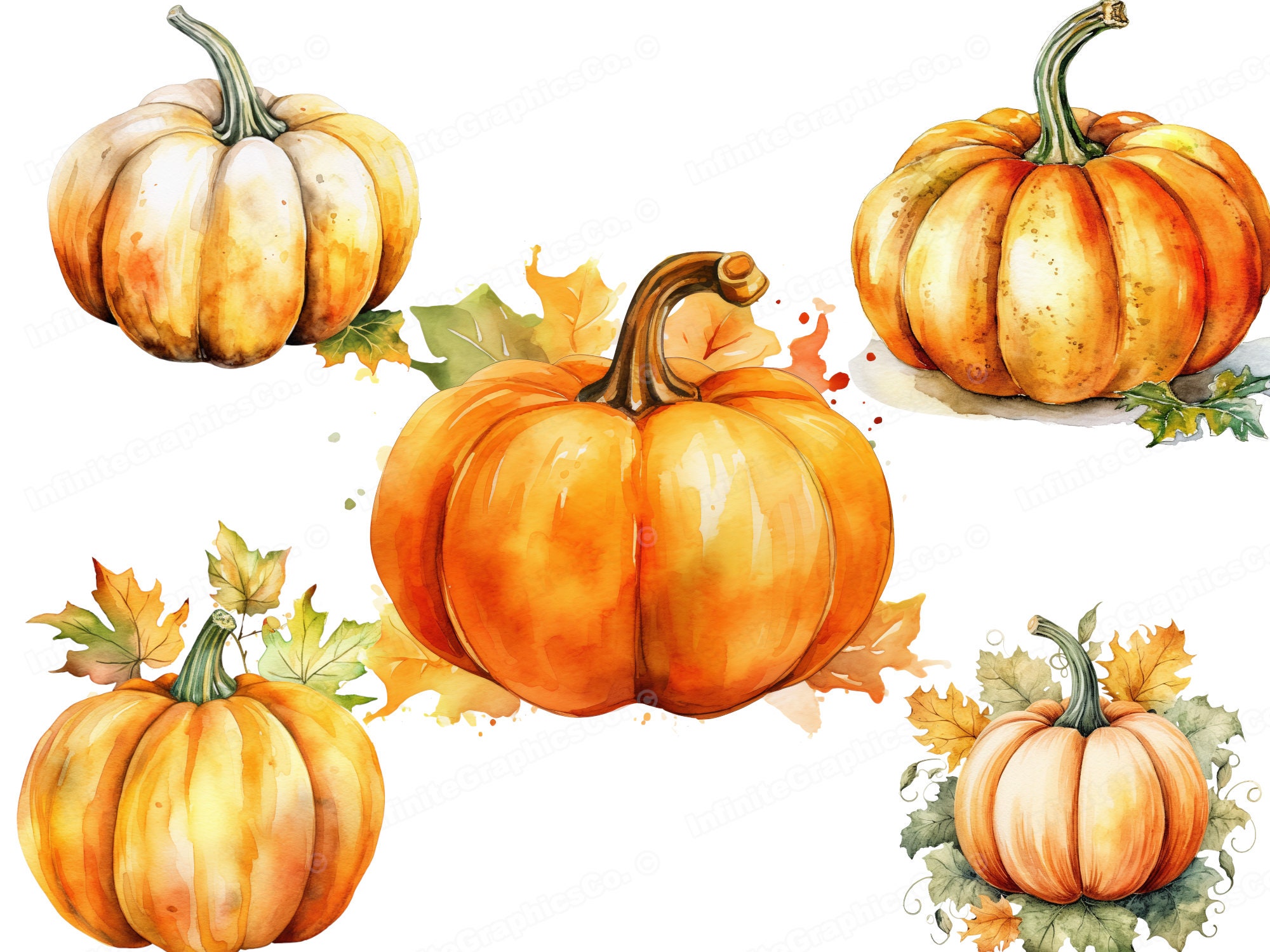 Watercolor Autumn Pumpkin Clipart, Autumn Clip Art, Fall Clipart ...