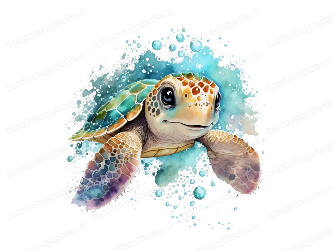 10 Sea Turtle Clipart Pngs, Ocean Clipart, Sea Animal Pngs, Cute Ocean ...