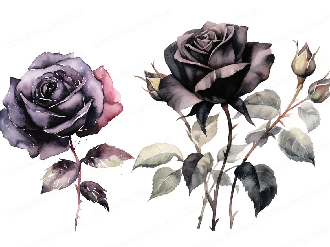 Watercolor Black Rose Clipart, Gothic Roses Clipart, Floral Clipart ...