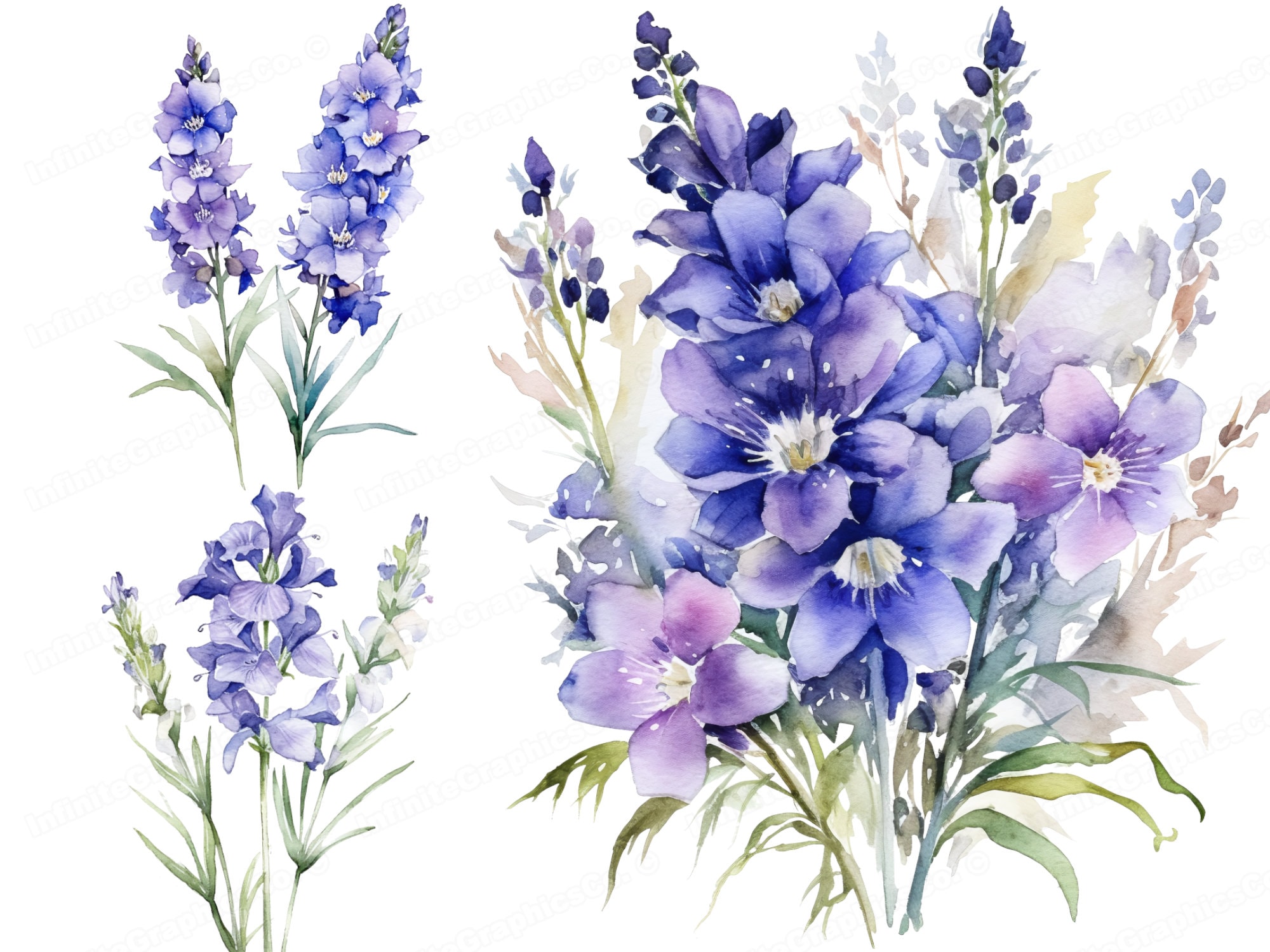 Watercolor Larkspur Flower Clipart, Floral Clipart, Birth Month Flower ...