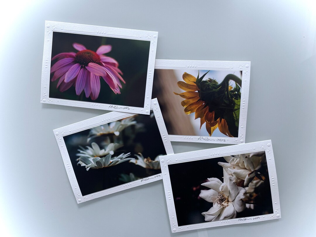 Flower Note Cards- Photocards - Etsy