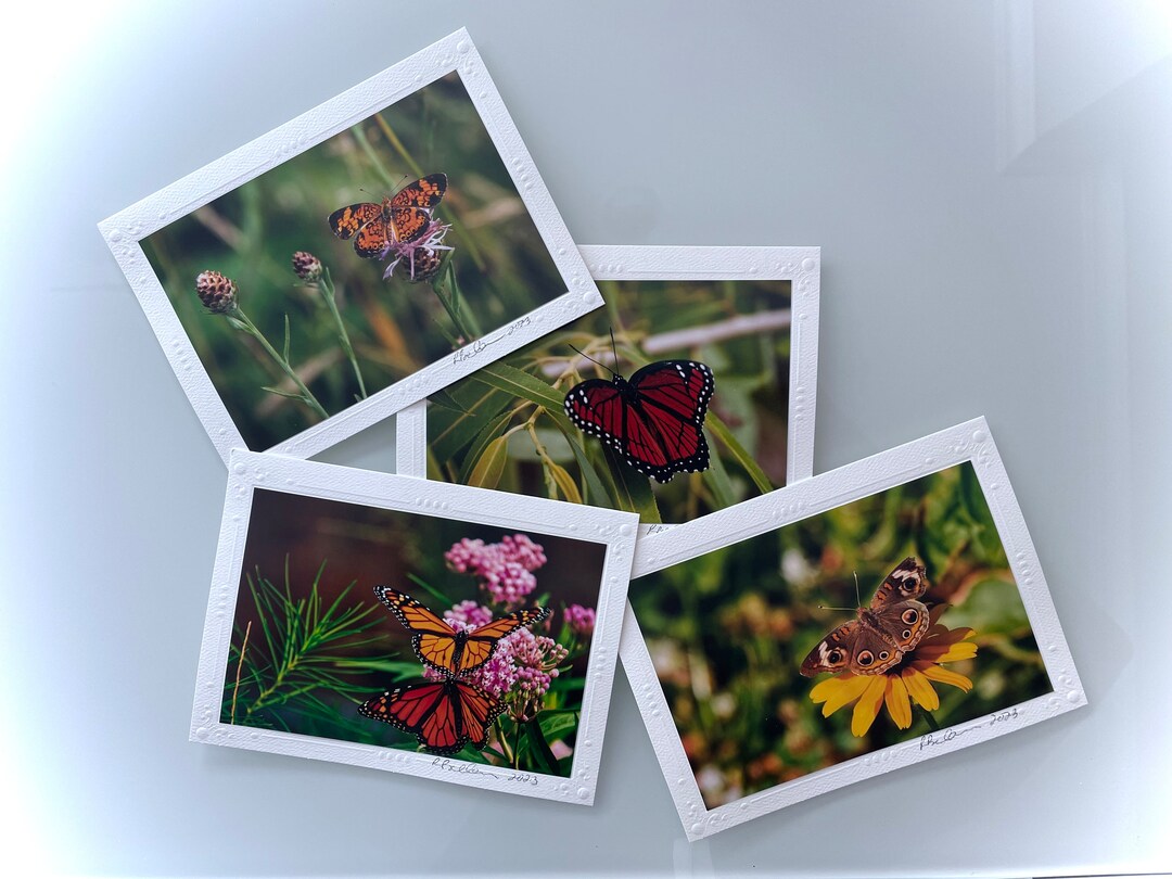 Butterfly Photo Note Cards-blank Photocards - Etsy