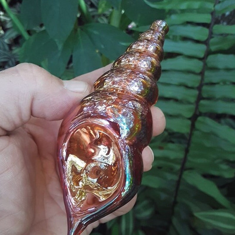 Seashell Pipe - Etsy