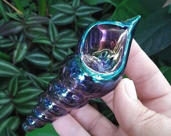 Shell Pipe, Conch Style - Etsy