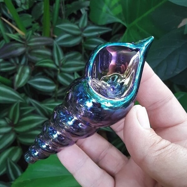 Shell Pipe - Etsy