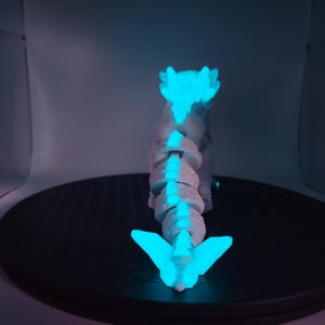 Shimo Flexi 3D Printed Model - Etsy