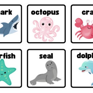 My First Animal Flashcards for Toddlers to Kindergarten - Digital ...