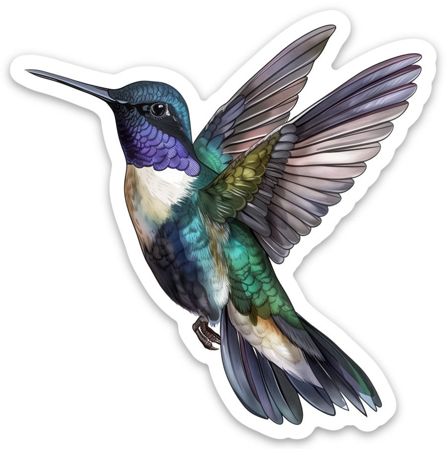 Set of 5 Lifelike Hummingbird Vinyl Stickers Water Resistant Decal for ...