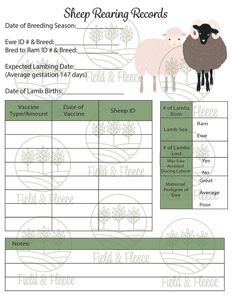 Sheep Breeding Records, Sheep Rearing, Sheep Farm Records, Homestead ...