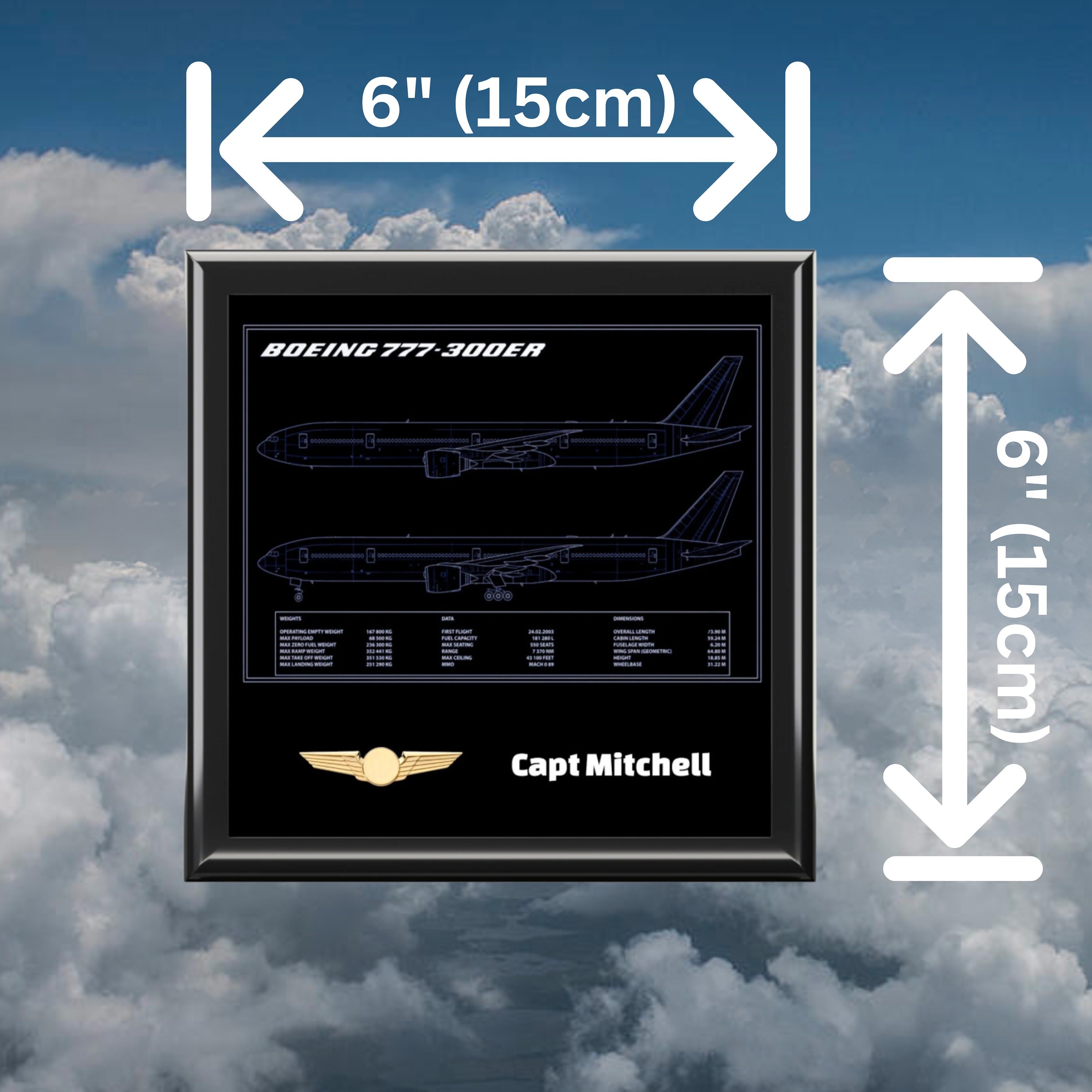 Custom Aircraft Pilot Wings and Epaulets Jewelry Case - Etsy