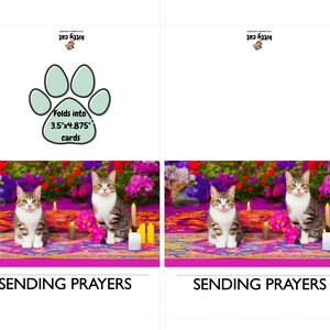 Sending Prayers Printable Card | Praying Printable Card | Cute Kitten ...