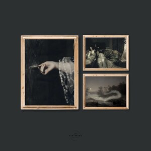 Dark Academia Decor Set of 9 Print ,vintage Dark Gallery Printable Wall ...