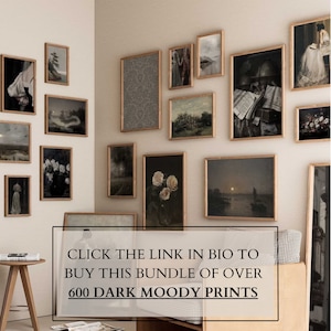 Dark Academia Decor Set of 9 Print ,vintage Dark Gallery Printable Wall ...