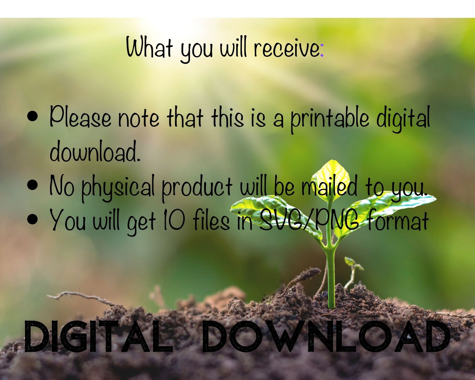 Passive-aggresive Mini Planter Signs Svg, Plant Svg, Plant Sign Svg ...