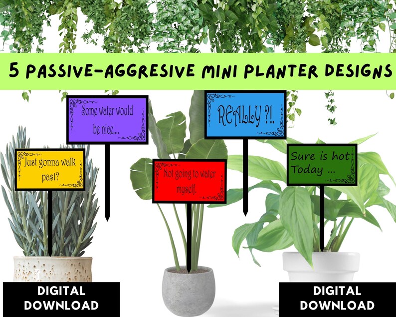 Passive-aggresive Mini Planter Signs Svg, Plant Svg, Plant Sign Svg ...