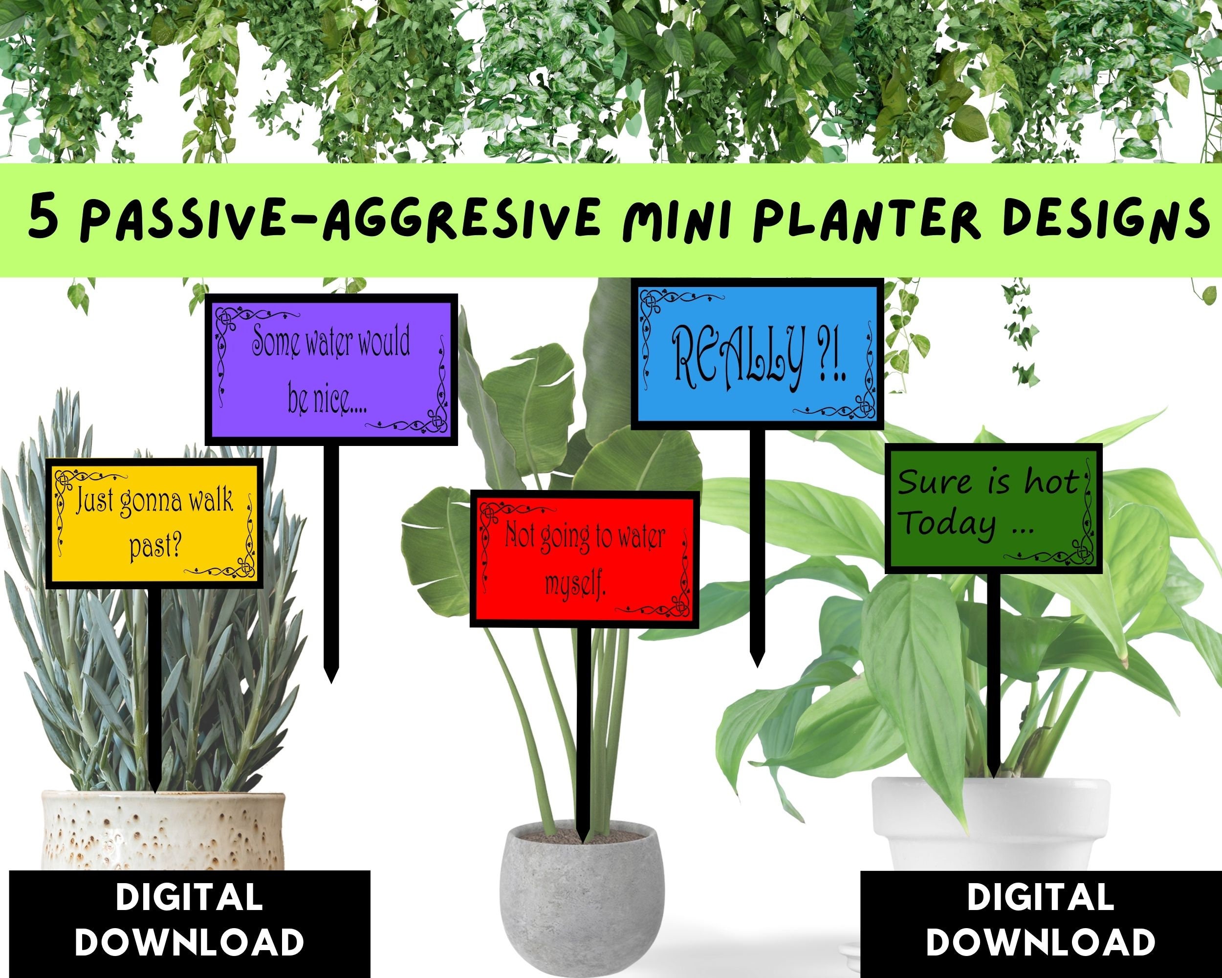 Passive-aggresive Mini Planter Signs Svg Plant Svg Plant - Etsy