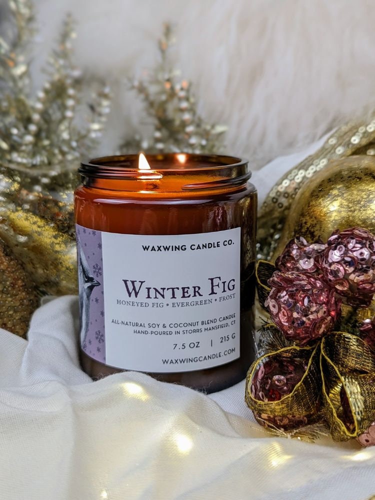 Winter Fig All-natural Soy Coconut Wax Blend Scented Candle Evergreen ...
