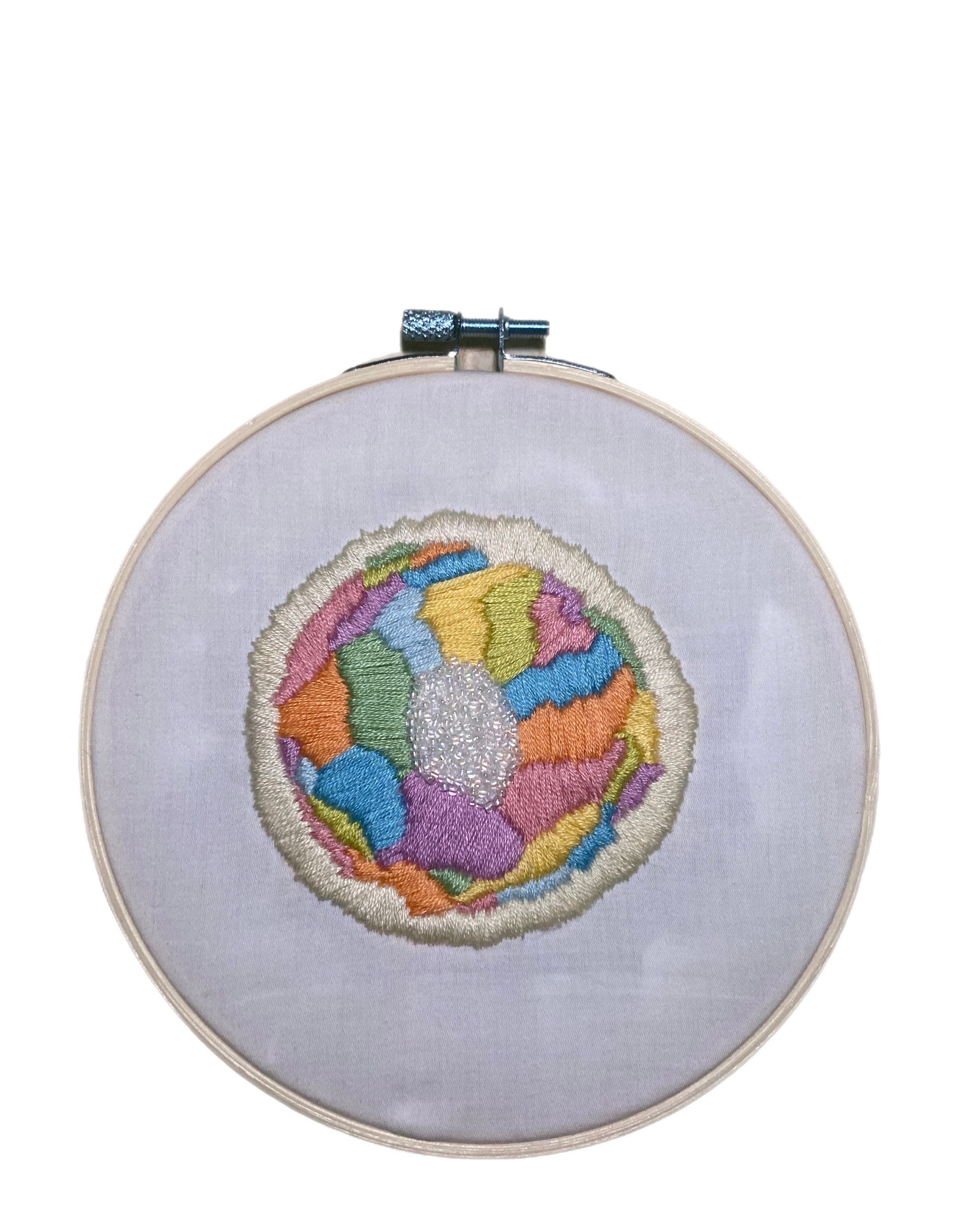 Custom Embryo Embroidery - Etsy